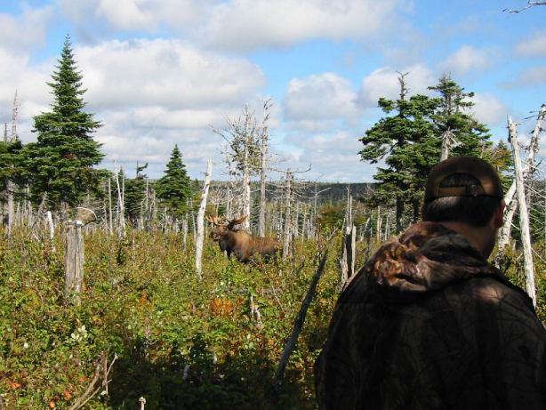 Wildlife Technologies Picture Page 2